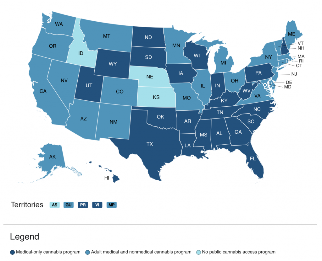 Medicinal Marijuana: How it Works and its Benefits and Risks – The ...